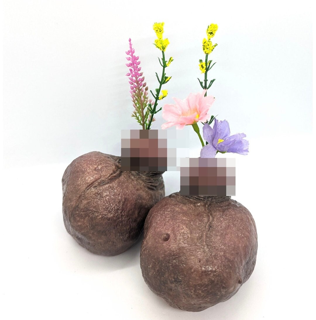 Chode Ornament Sculpture Weird Ornament, Quirky Small Weird Gift ...