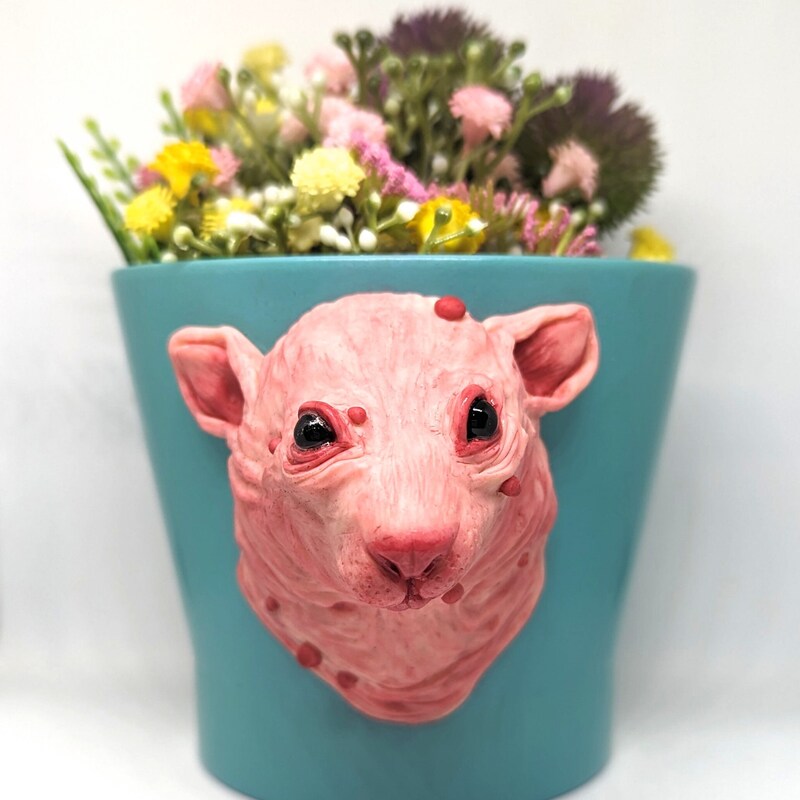 Funny Plant Pot - Etsy