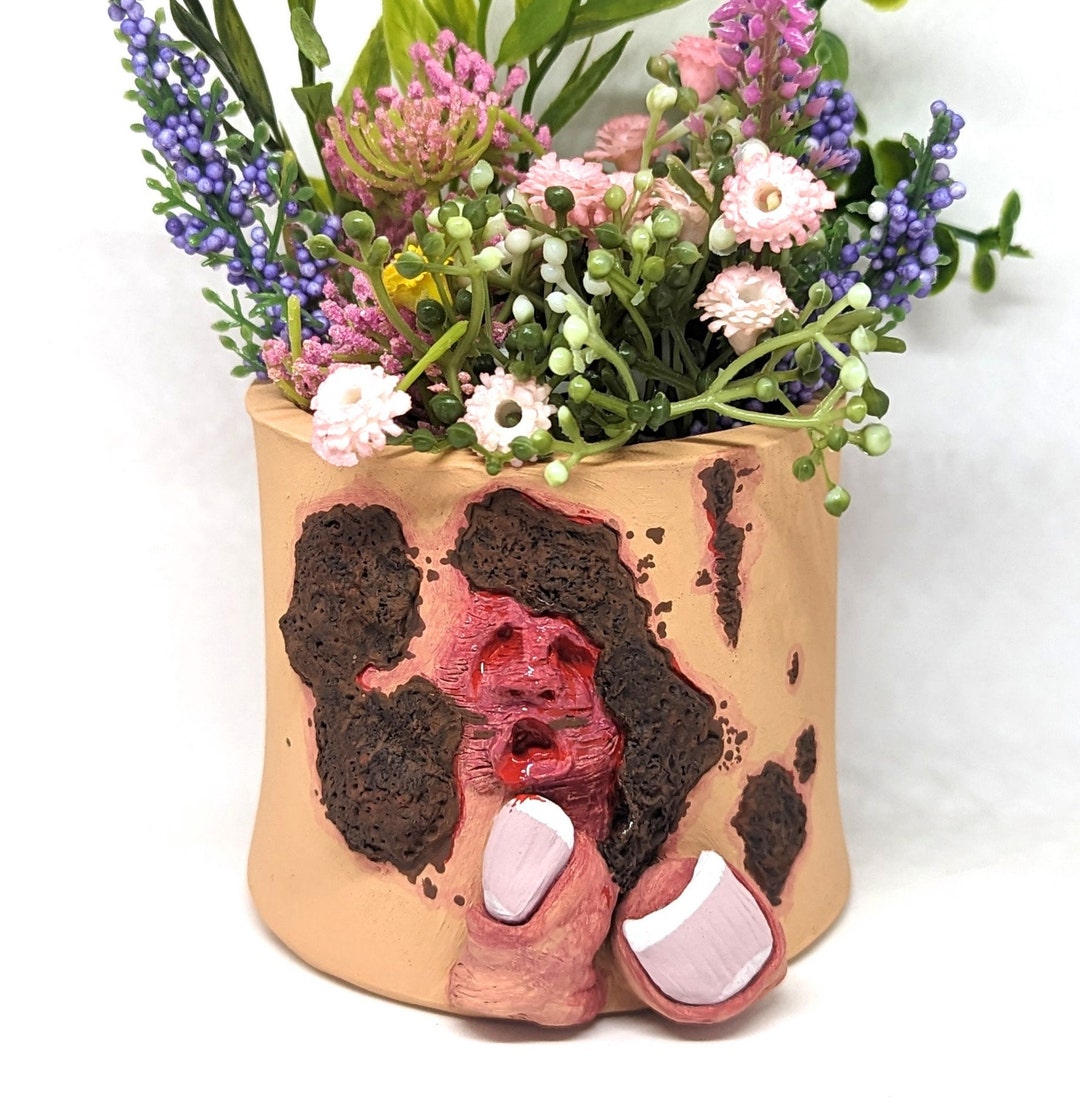 Scab Pot - Quirky Small Plant Pot, Weird Pottery, Weird Gift, Unusual ...