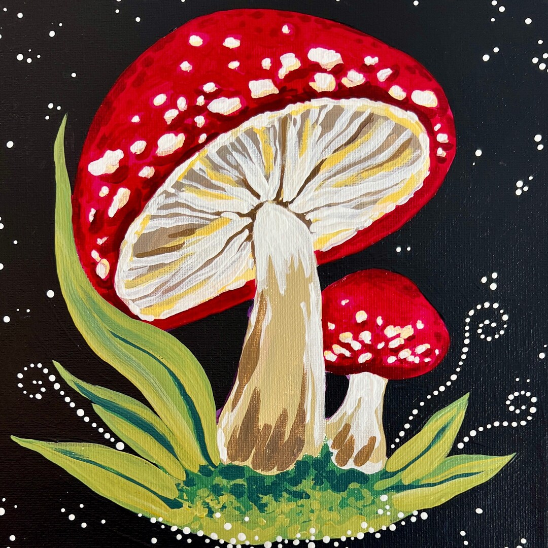 Mystical Mushroom Art Box Mini Kit – DIY Painting Crafting - Etsy