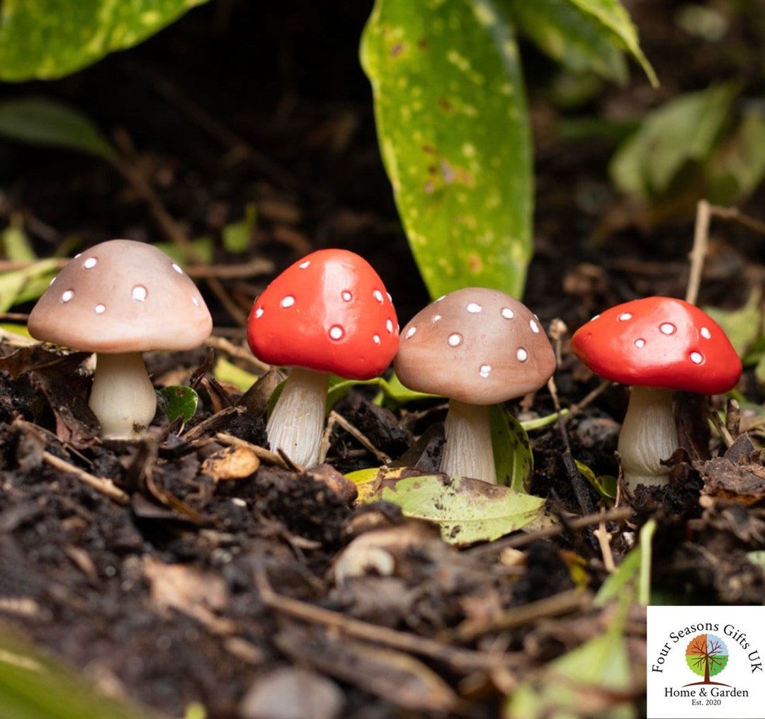Mini Toadstool Resin Garden Stakes Set of 4 Plant Pot Decorative ...