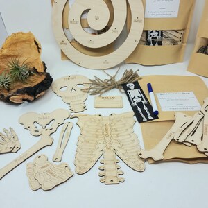 Make Your Own Skeleton "todd"- Diy Science Kit, Educational, Learn ...