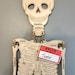 Make Your Own Skeleton "todd"- Diy Science Kit, Educational, Learn ...