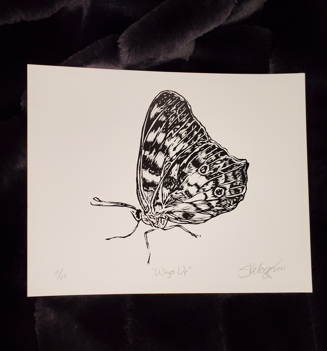 Butterfly Print - Etsy