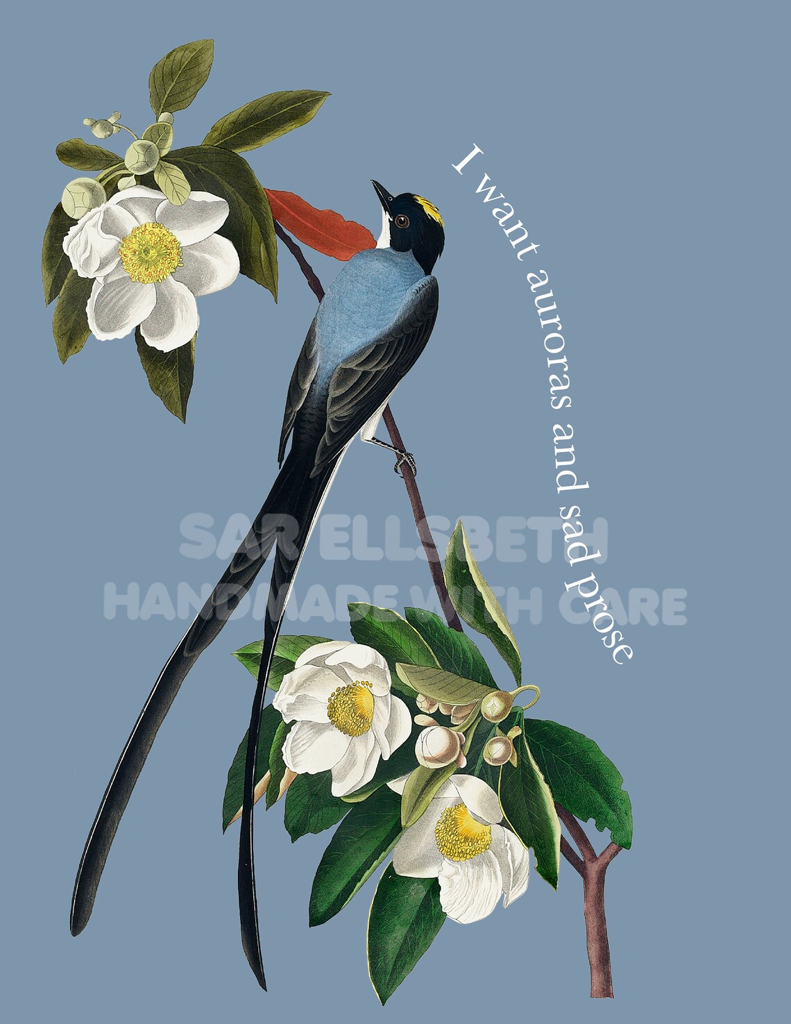 Auroras and Sad Prose ~ Folklore Print Instant Digital Download ...