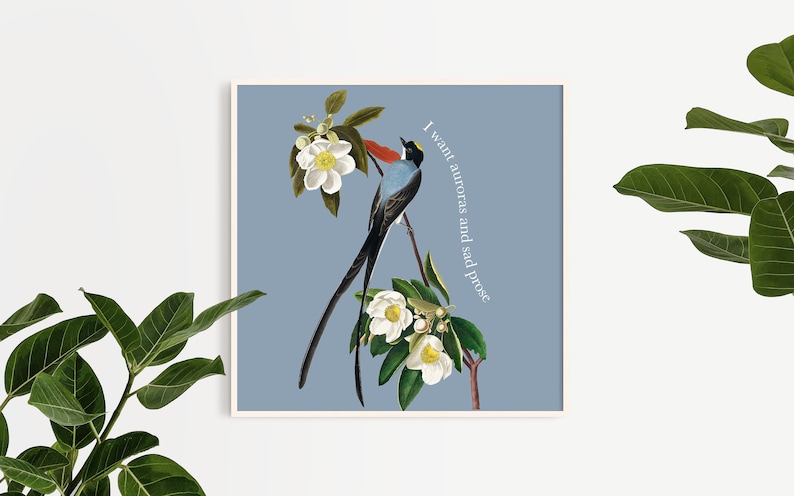 Auroras and Sad Prose ~ Folklore Print Instant Digital Download ...