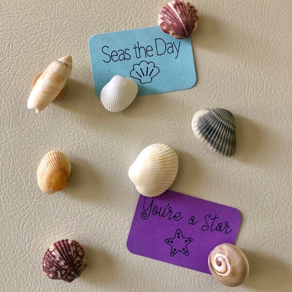 Sea Shell Magnet - Etsy