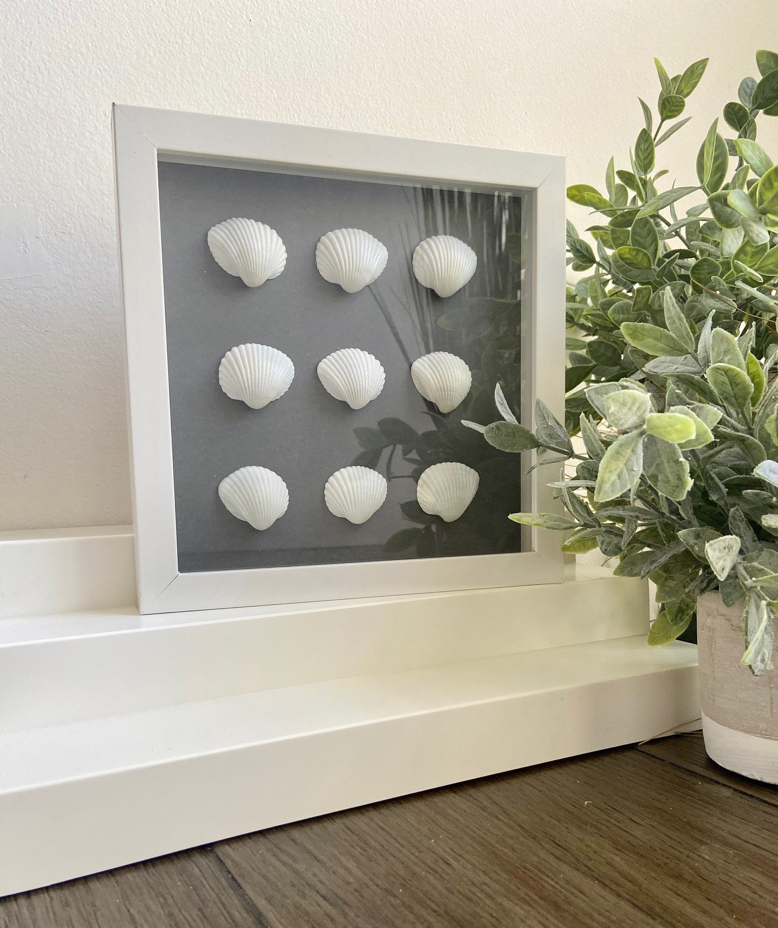 8x8 Sea Shell Shadow Box Coastal Accent Coastal Bath Coast - Etsy