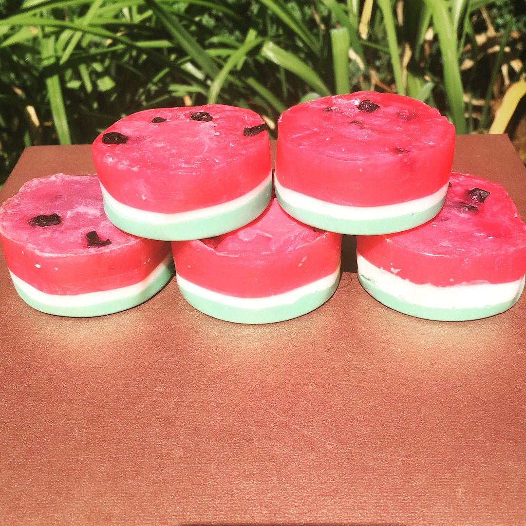 Watermelon Wheels| Artisan Handmade Summer Soap - Etsy