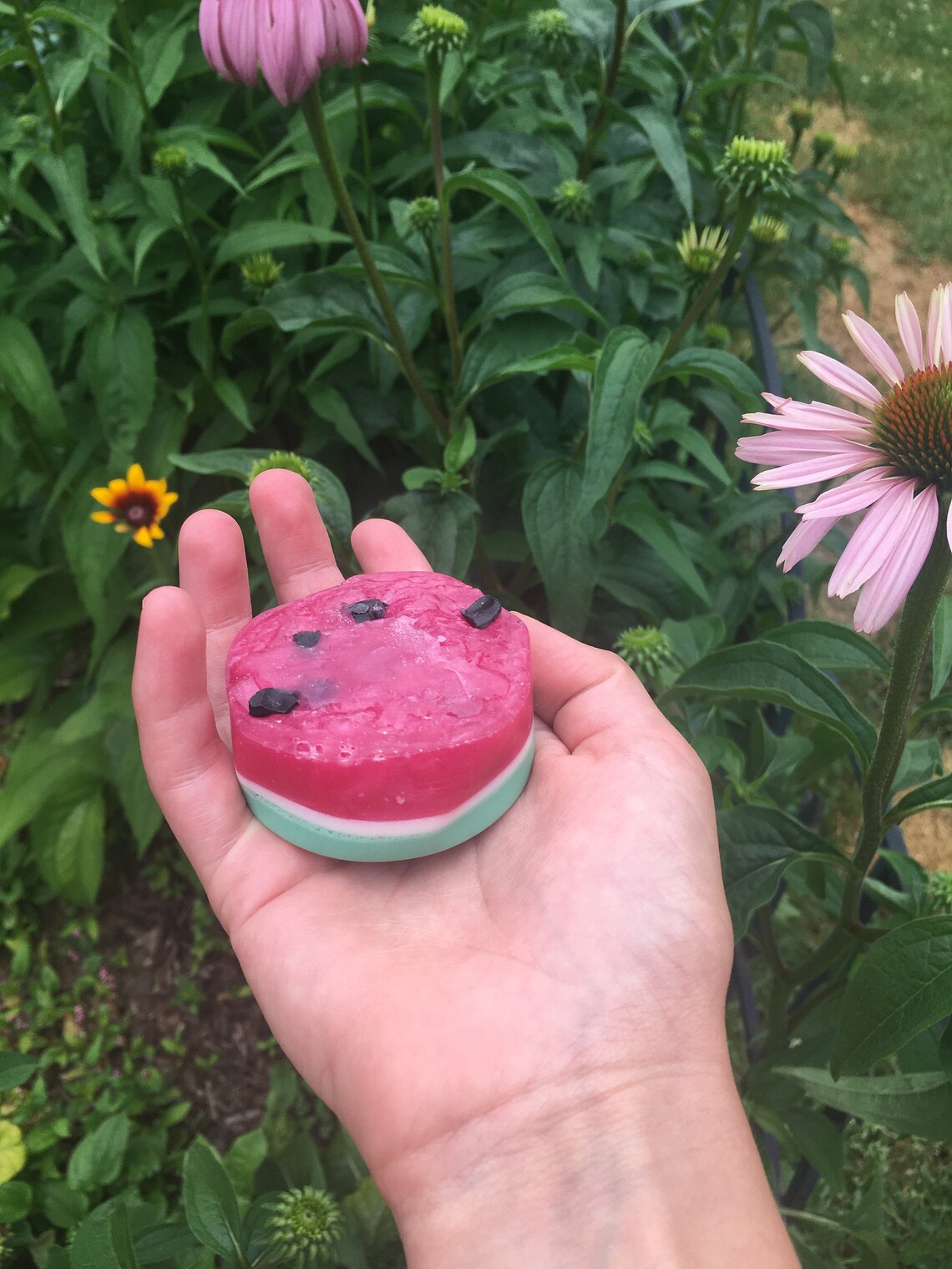 Watermelon Wheels Artisan Handmade Summer Soap - Etsy