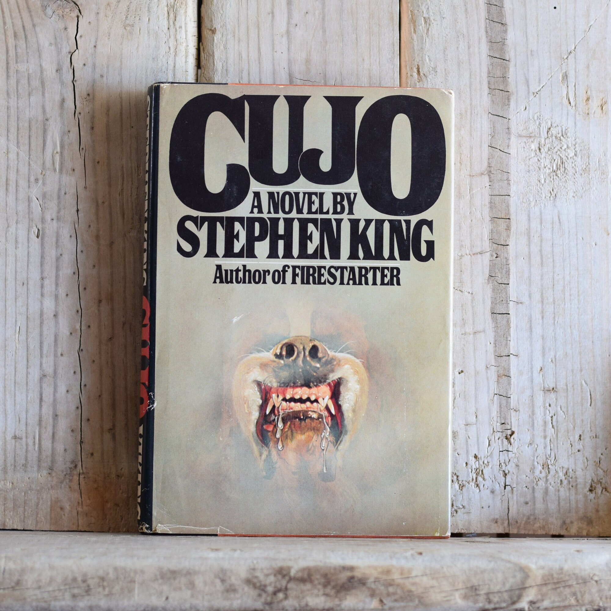 Cujo Stephen King Book