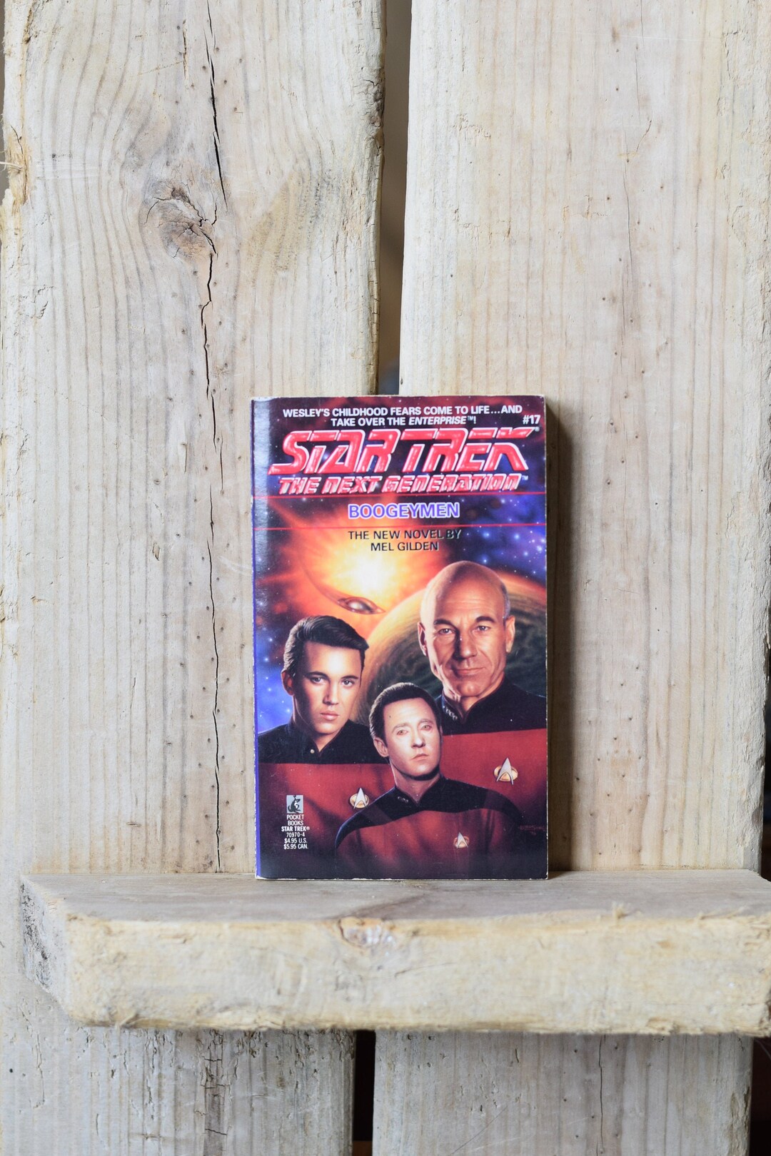 Vintage Star Trek Taschenbuch Roman: Mel Gilden Star Trek The Next ...