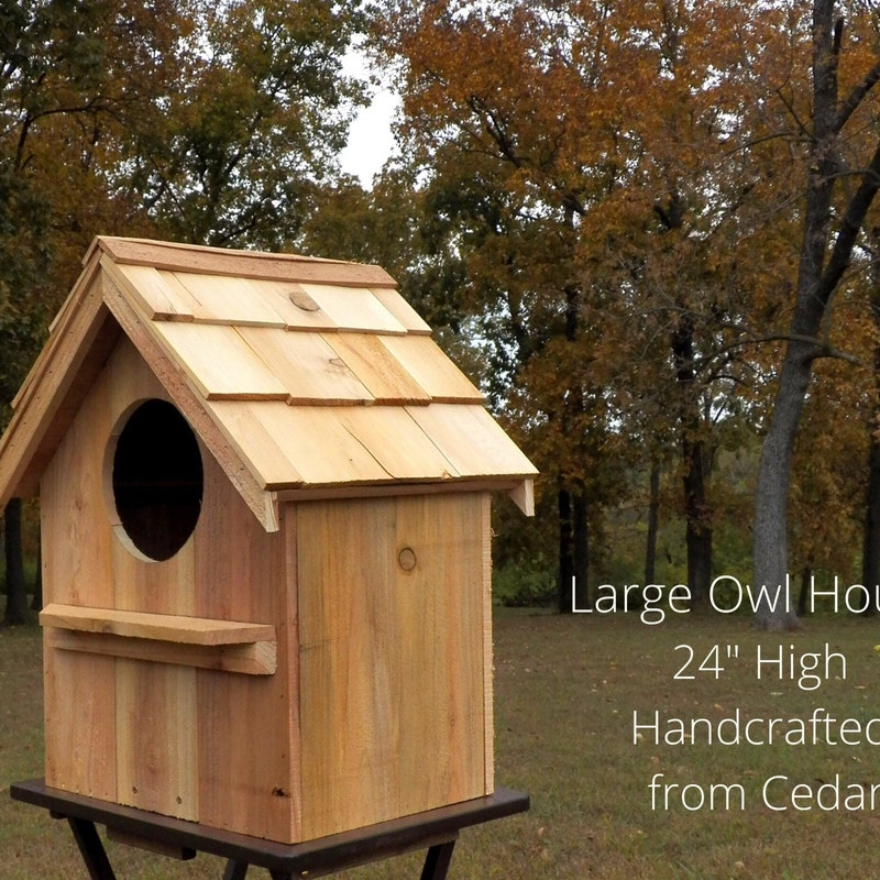 Barred Owl Nesting Box - Etsy