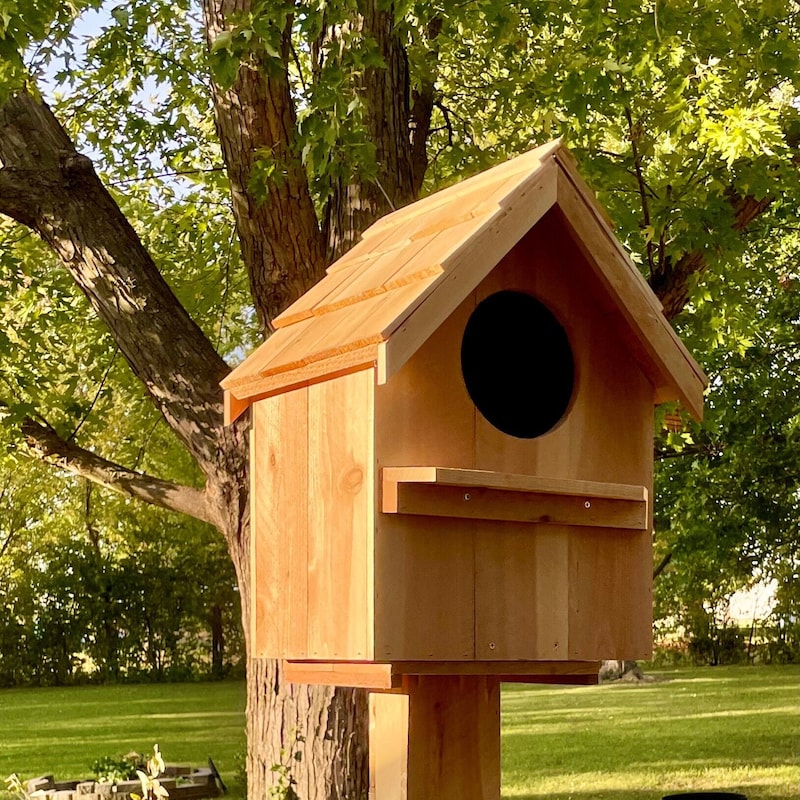 Barred Owl Nesting Box - Etsy