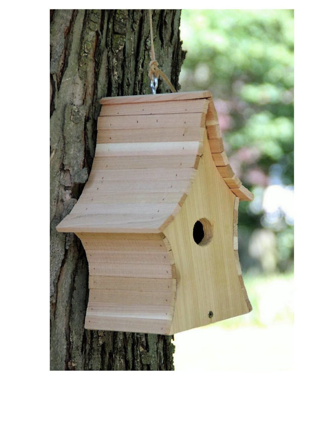 Crooked Cedar Birdhouse, Wonky Looking, Crazy, Leaning, Bluebird House ...