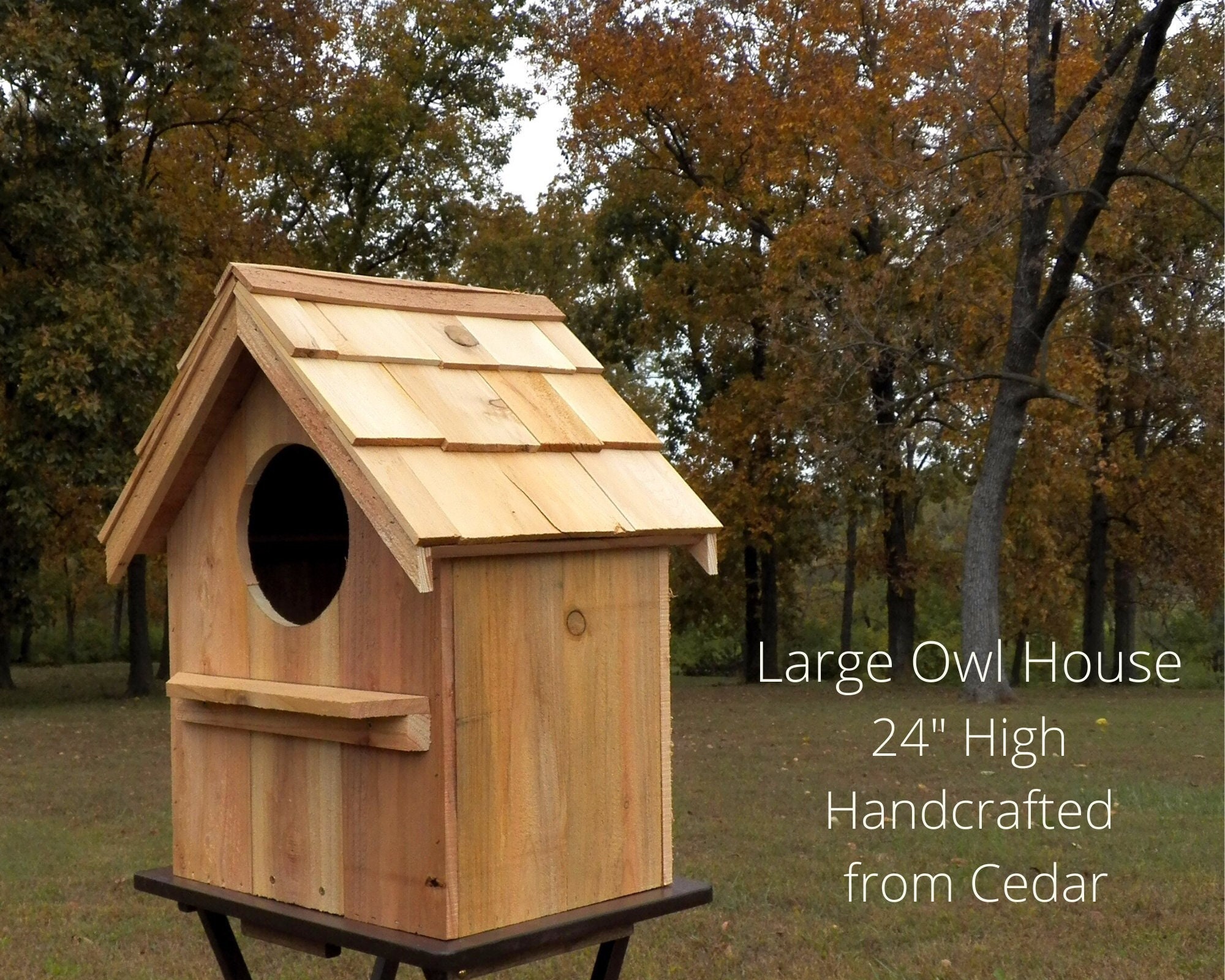 Large Owl House, Owl Nesting Box, Cedar With Shake Shingled Roof ...