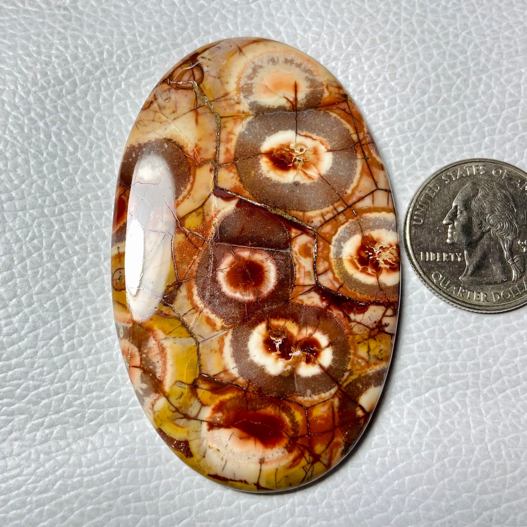 Bird Eye Jasper 100% Natural Bird Eye Jasper Cabochon Loose Gemstone ...