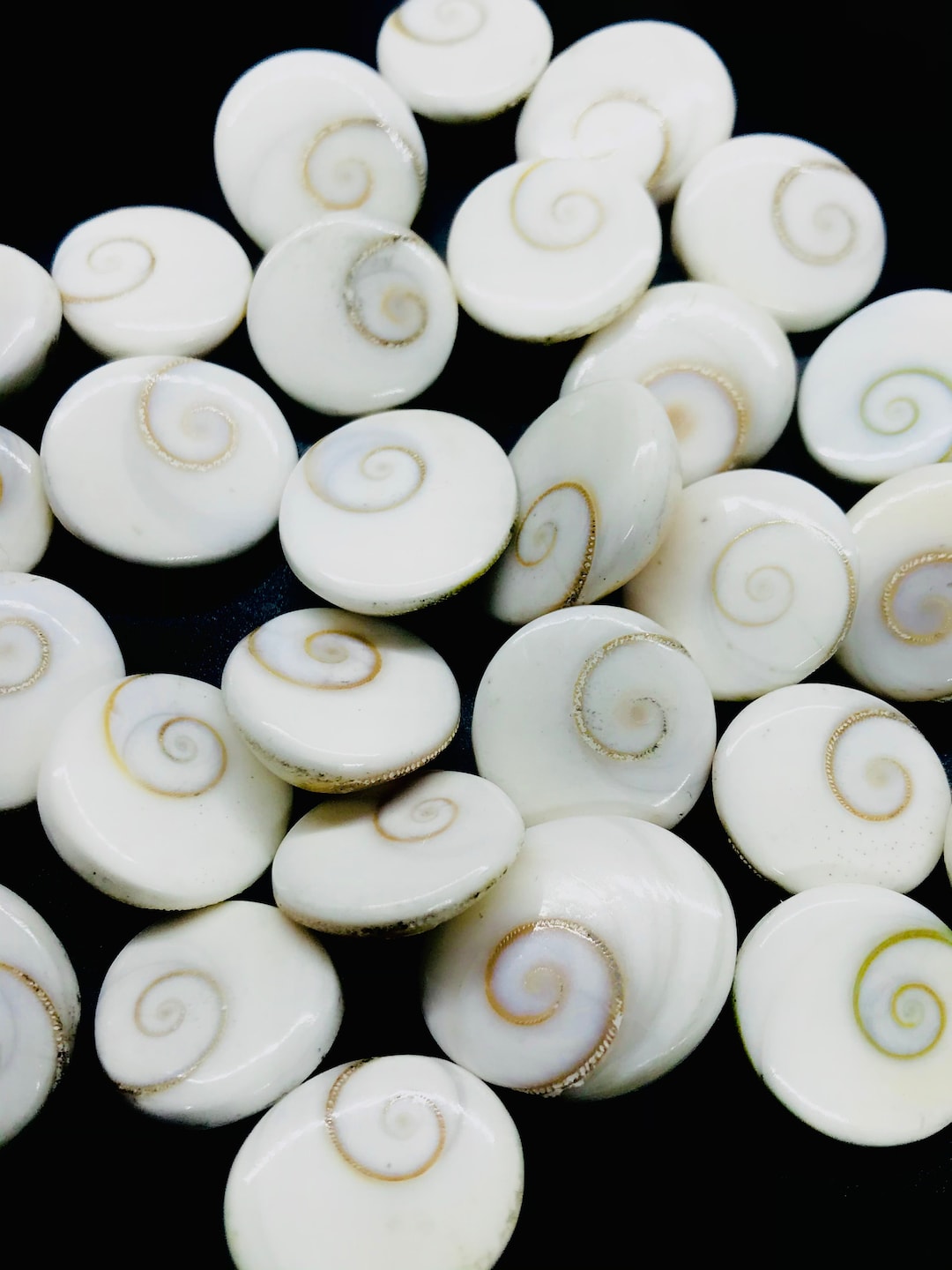 Natural Shiva Eye Shell Gemstone Shiva Eye Cabochon High''quality Shell ...