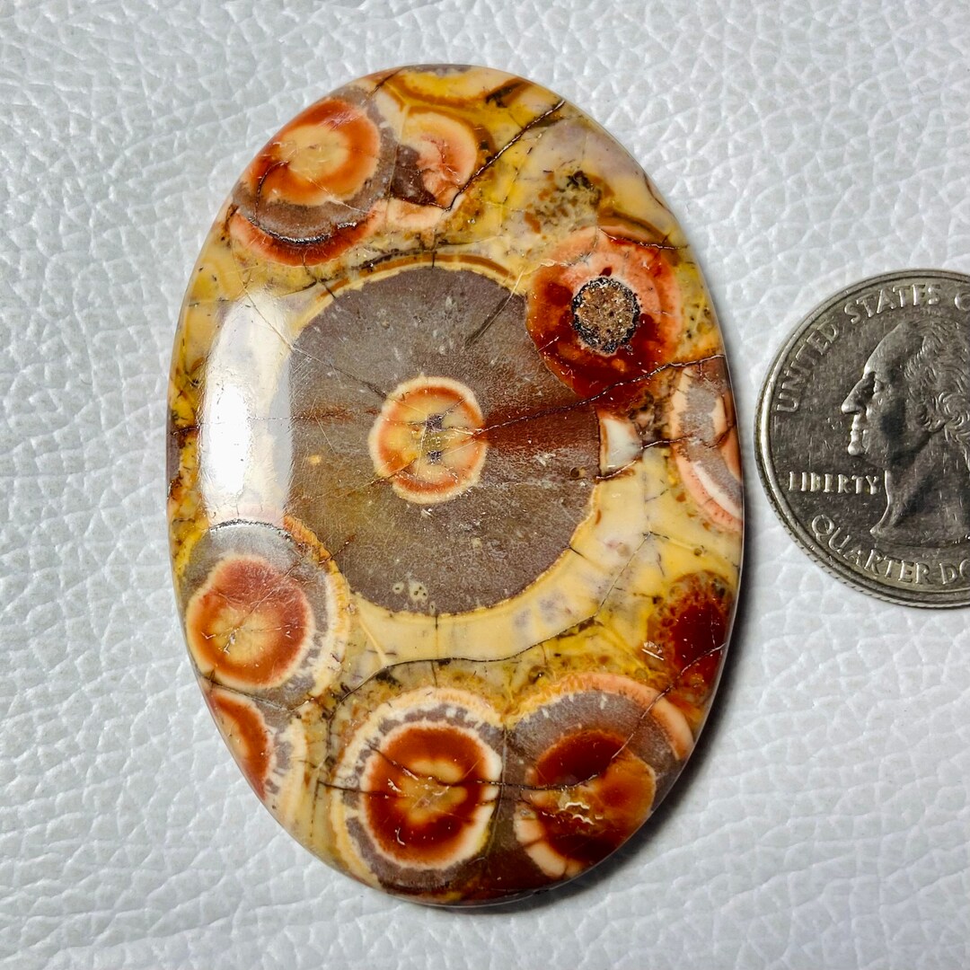 Bird Eye Jasper 100% Natural Bird Eye Jasper Cabochon Loose Gemstone ...