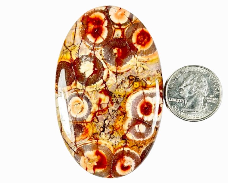 Cabujón de jaspe ojo de pájaro natural, gema ovalada para joyería ...