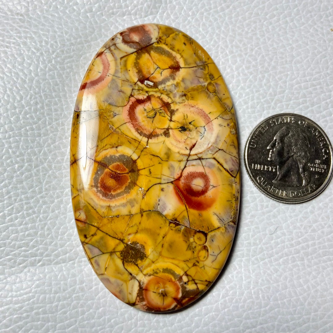 Bird Eye Jasper 100% Natural Bird Eye Jasper Cabochon Loose Gemstone ...