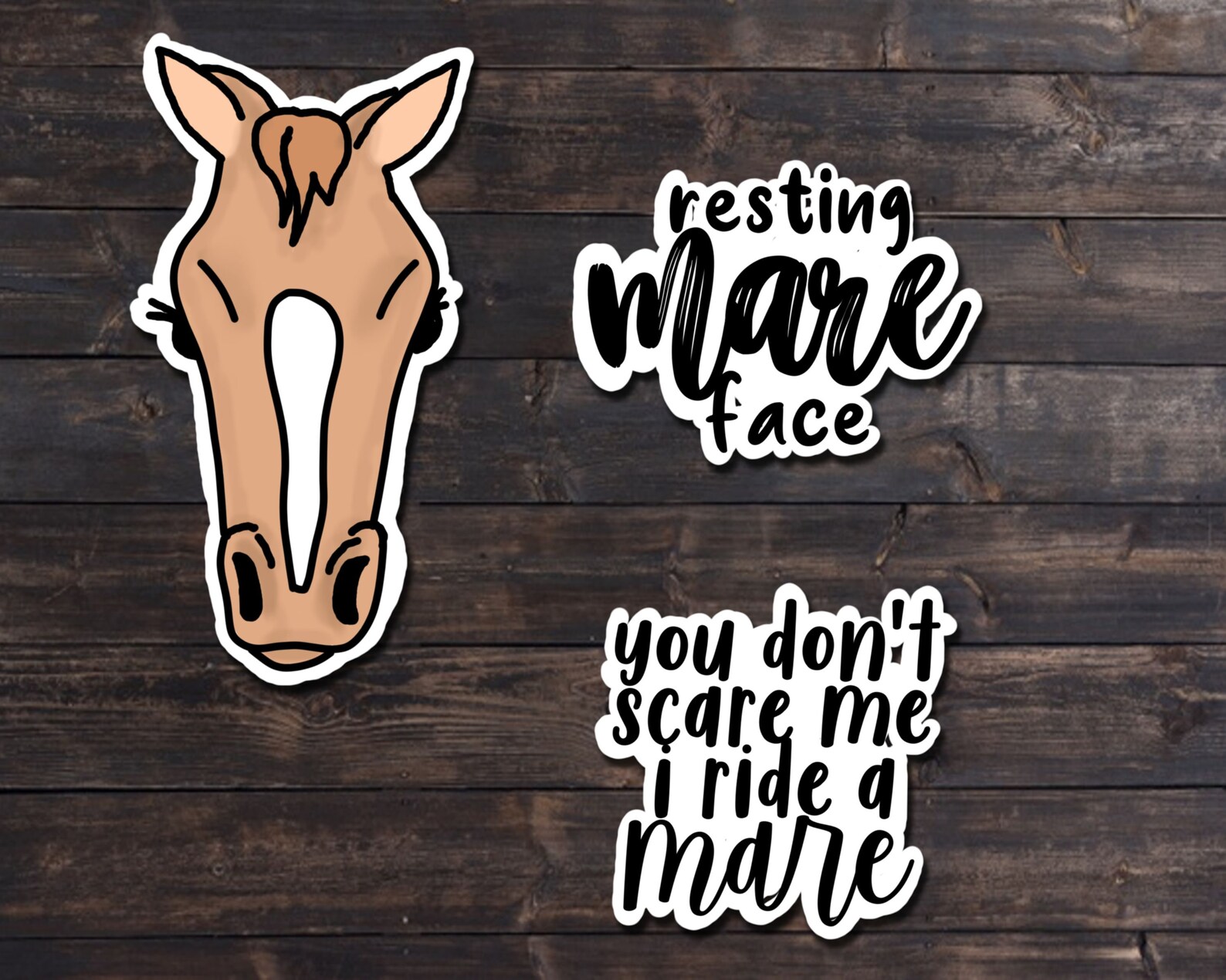 Mare Horse Sticker Set Laptop Sticker Gifts for Horse - Etsy