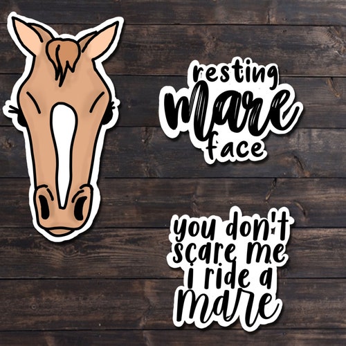 Mare Horse Sticker Set Laptop Sticker Gifts for Horse - Etsy