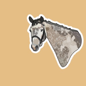 Custom Horse Sticker Waterproof Vsco Laptop Water Bottle Sticker Photo ...