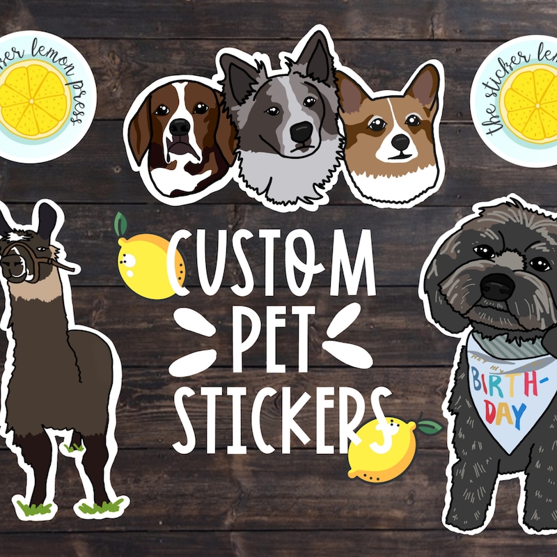 Vsco Stickers - Etsy