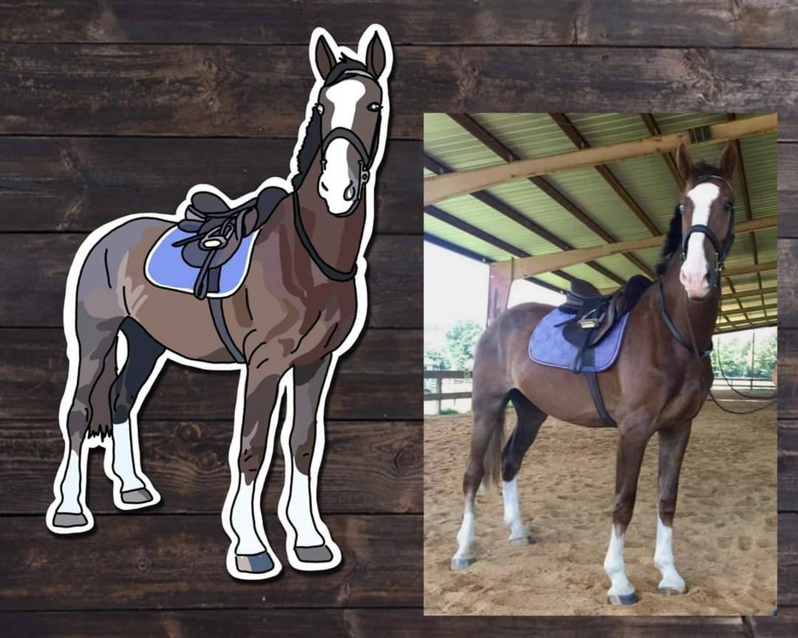 Custom Horse Sticker Waterproof Vsco Laptop Water Bottle - Etsy