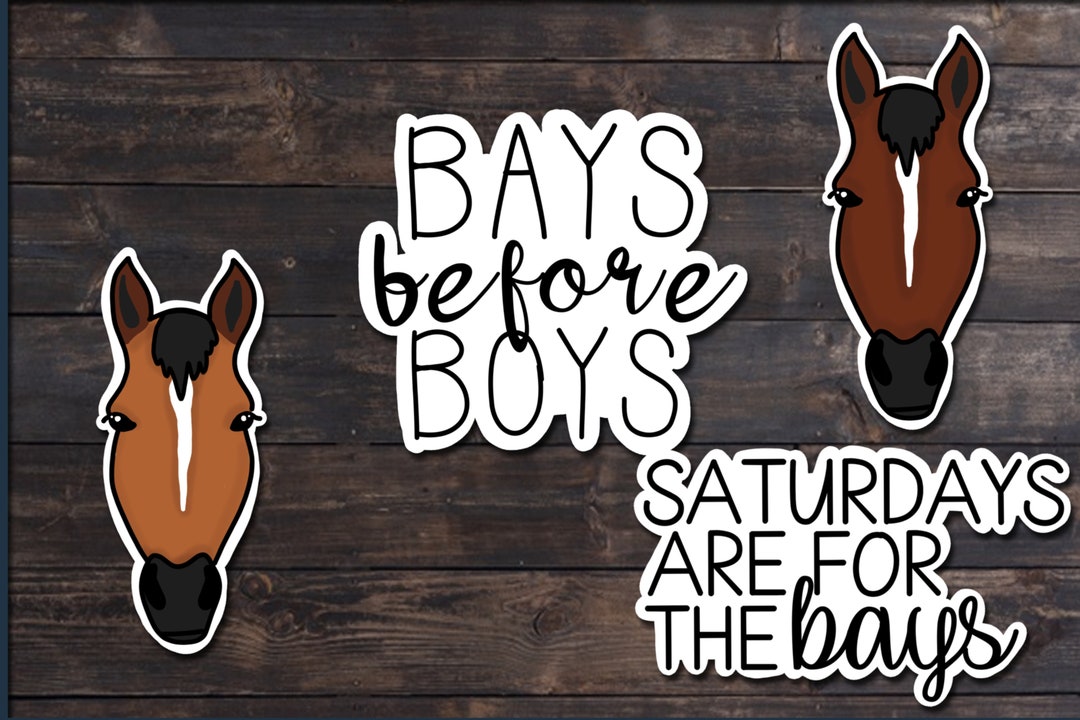 Bay Horse Equestrian Waterproof Vsco Laptop Water Bottle Sticker Gift ...