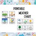 Weather Chart, Circle Time, Preschool Weather Chart, Digital Weather ...