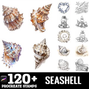 128+ Seashell Procreate Brush Set | Stamps for Procreate | Instant ...