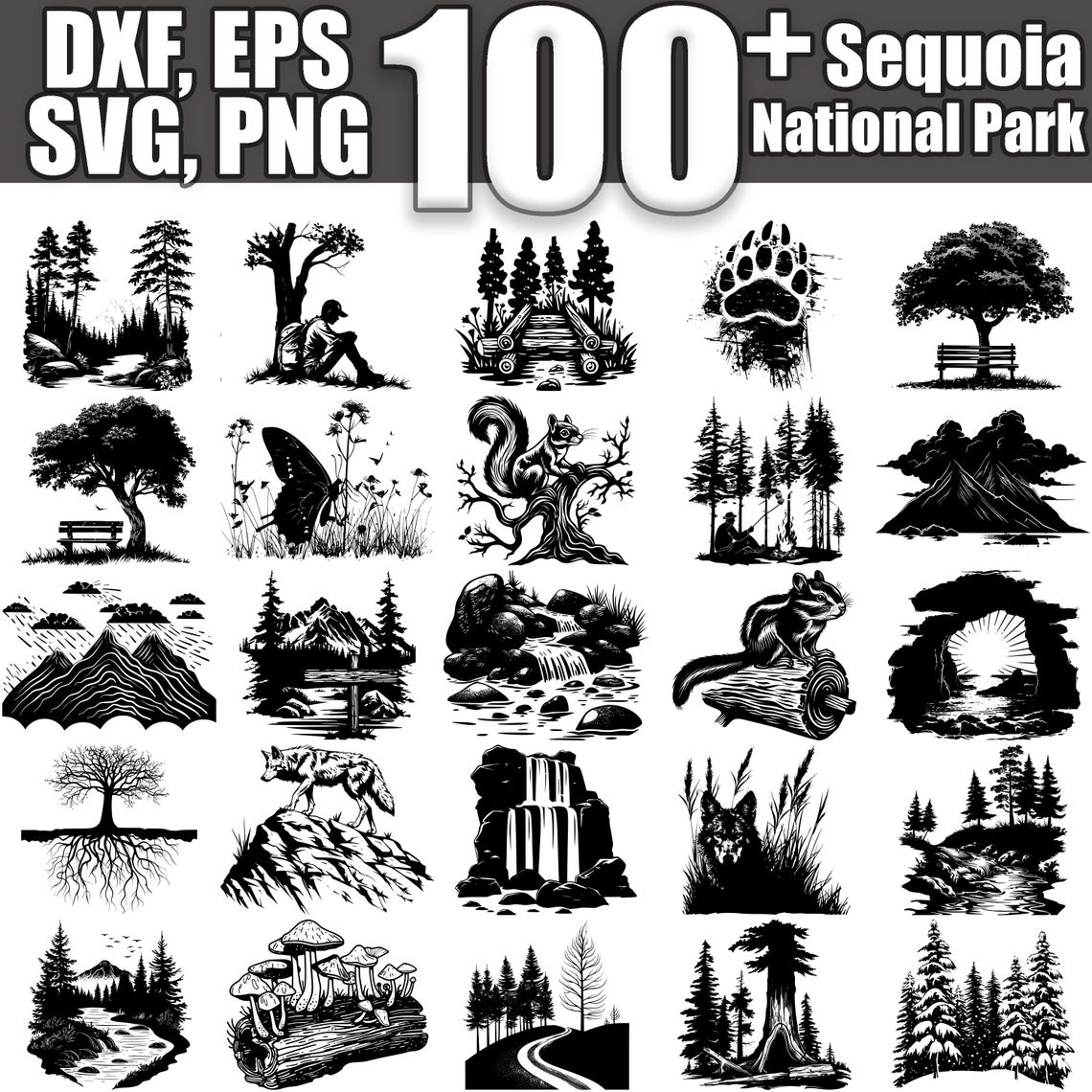Sequoia National Park SVG Bundle: 100 Designs (digital Download) - Etsy