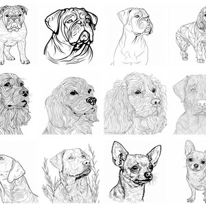 155 Dogs Procreate Brush Set | Stamps for Procreate | Instant Digital ...