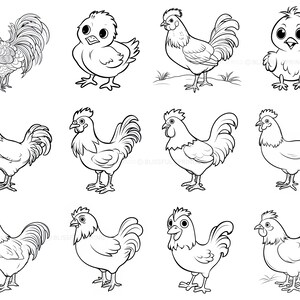 100+ Chicken Procreate Brush Set | Unique Chicken Stamp Brushes ...