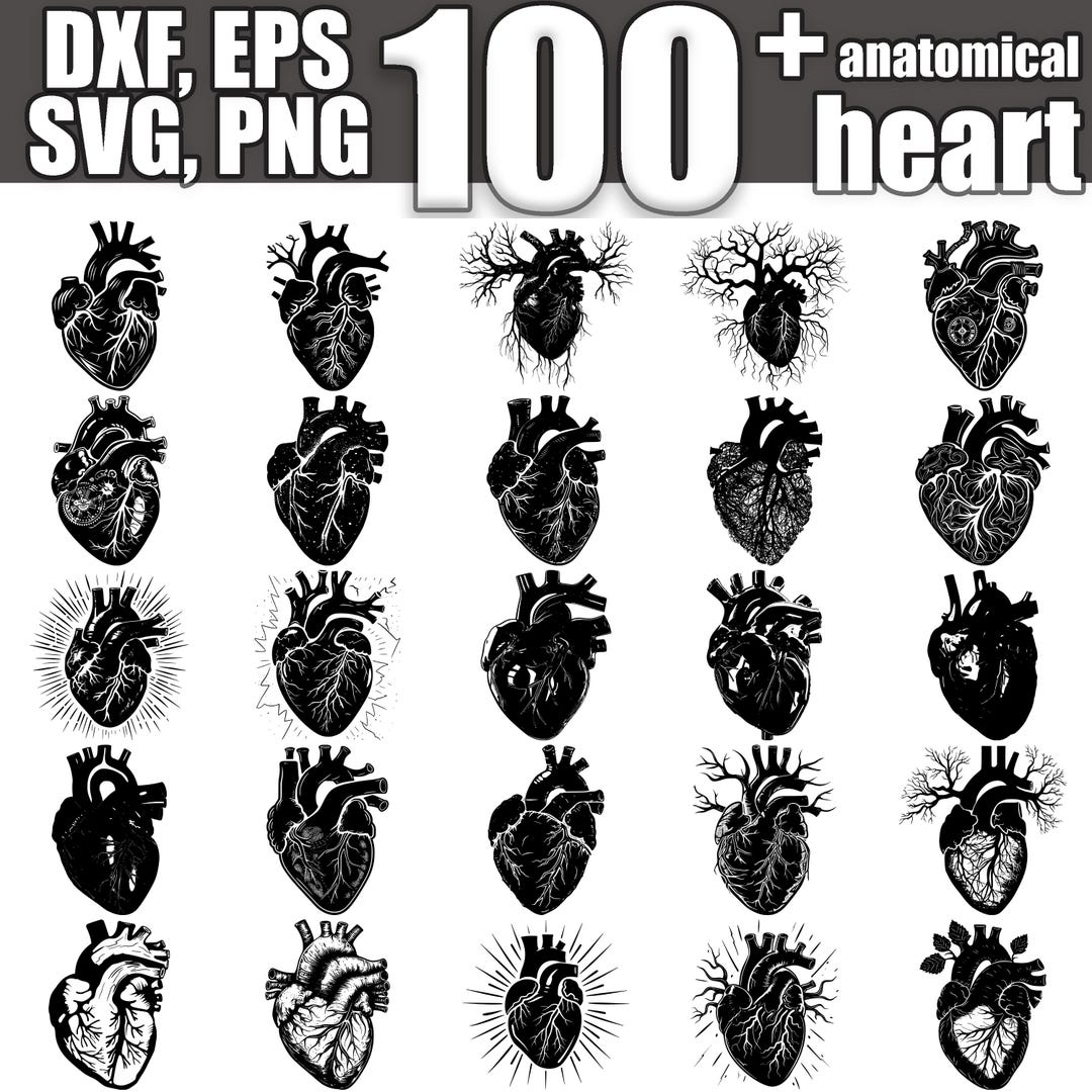 Anatomical Heart SVG Bundle, Set of 100, Instant Digital Download Svg ...