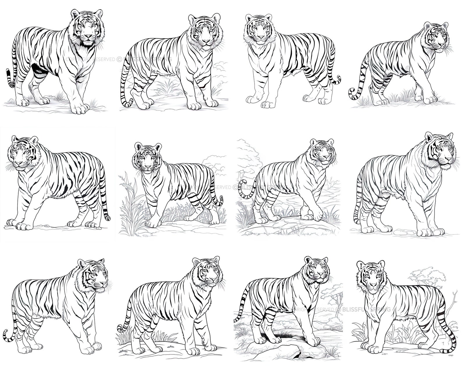 100+ Tiger Procreate Brush Set | Unique Tiger Stamp Brushes | Instant ...