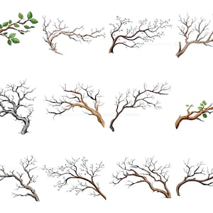 100+ Branches Procreate Brush Set | Unique Tree Branch Stamp Brushes ...