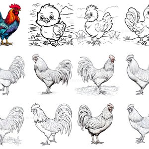 100+ Chicken Procreate Brush Set | Unique Chicken Stamp Brushes ...
