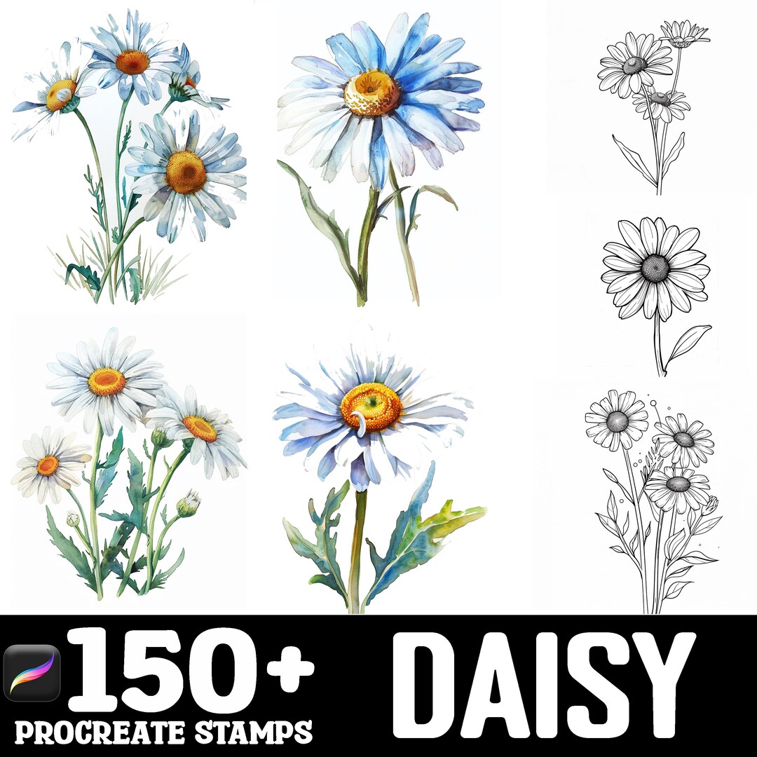 151+ Daisy Flower Procreate Brush Set | Stamps for Procreate | Instant ...