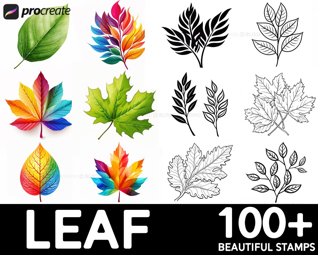 100+ Leaf Procreate Brush Set | Unique Leaf Stamp Brushes | Instant ...