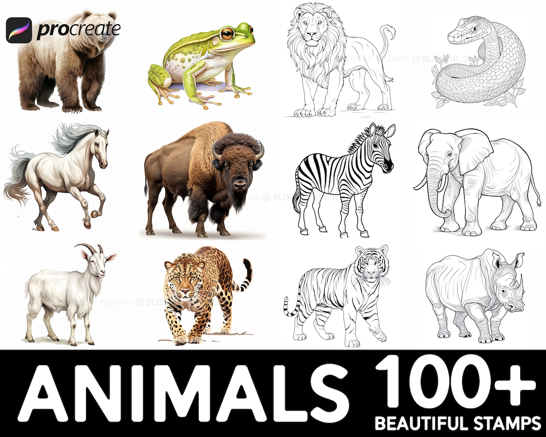100+ Animal Procreate Brush Set | Unique Realistic Animal Stamp Brushes ...