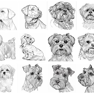 155 Dogs Procreate Brush Set | Stamps for Procreate | Instant Digital ...
