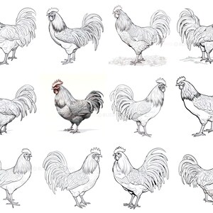 100+ Chicken Procreate Brush Set | Unique Chicken Stamp Brushes ...
