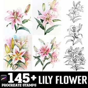 145 Lily Procreate Brush Set | Stamps for Procreate | Instant Digital ...