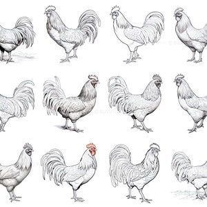100+ Chicken Procreate Brush Set | Unique Chicken Stamp Brushes ...