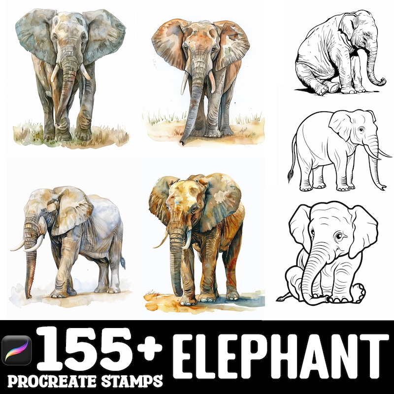 Elephant Drawing - Etsy