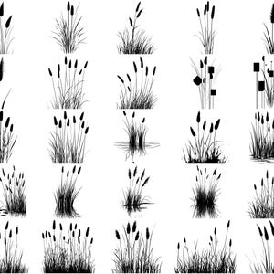 Cattail Reed SVG Bundle, Set of 100, Instant Digital Download Svg Png ...