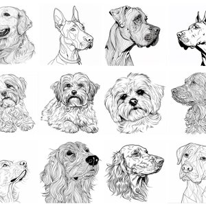 155 Dogs Procreate Brush Set | Stamps for Procreate | Instant Digital ...